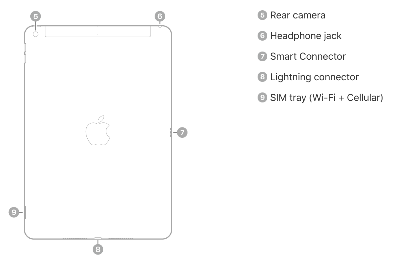 iPad Basics — Assistive Technology Lab